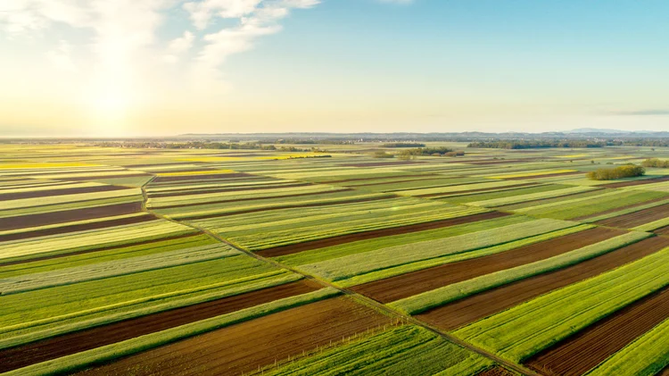 Our People — Canacre