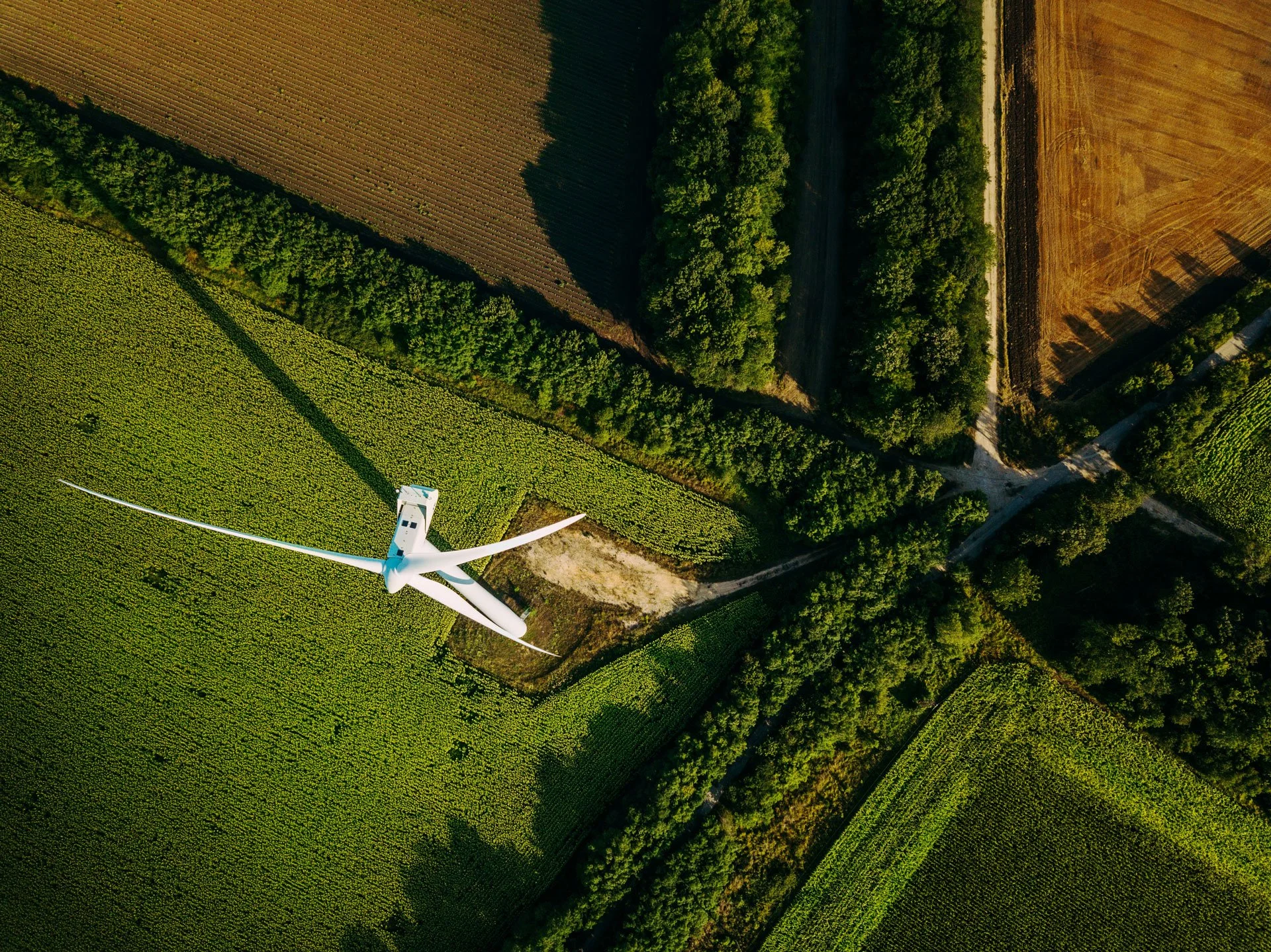 Our People — Canacre