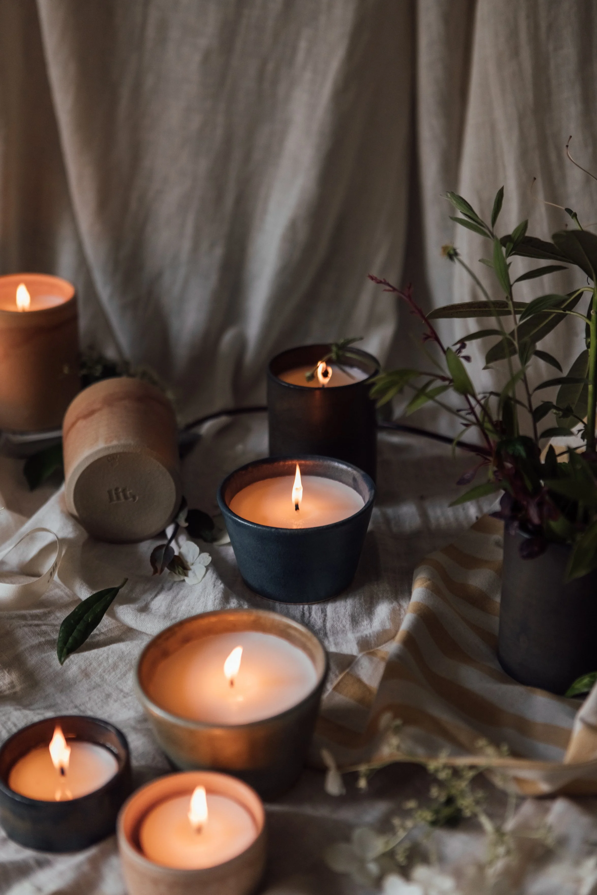 Signature Scents — Lit,