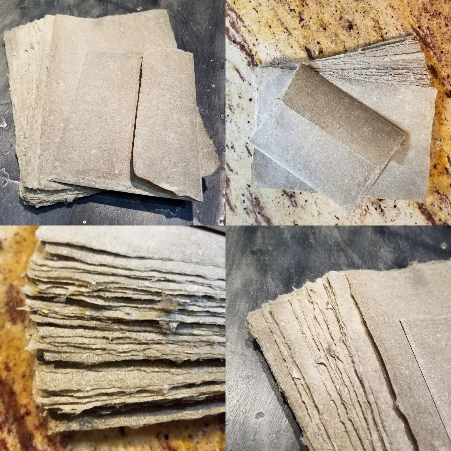 General 2 — Flying Finch Studio