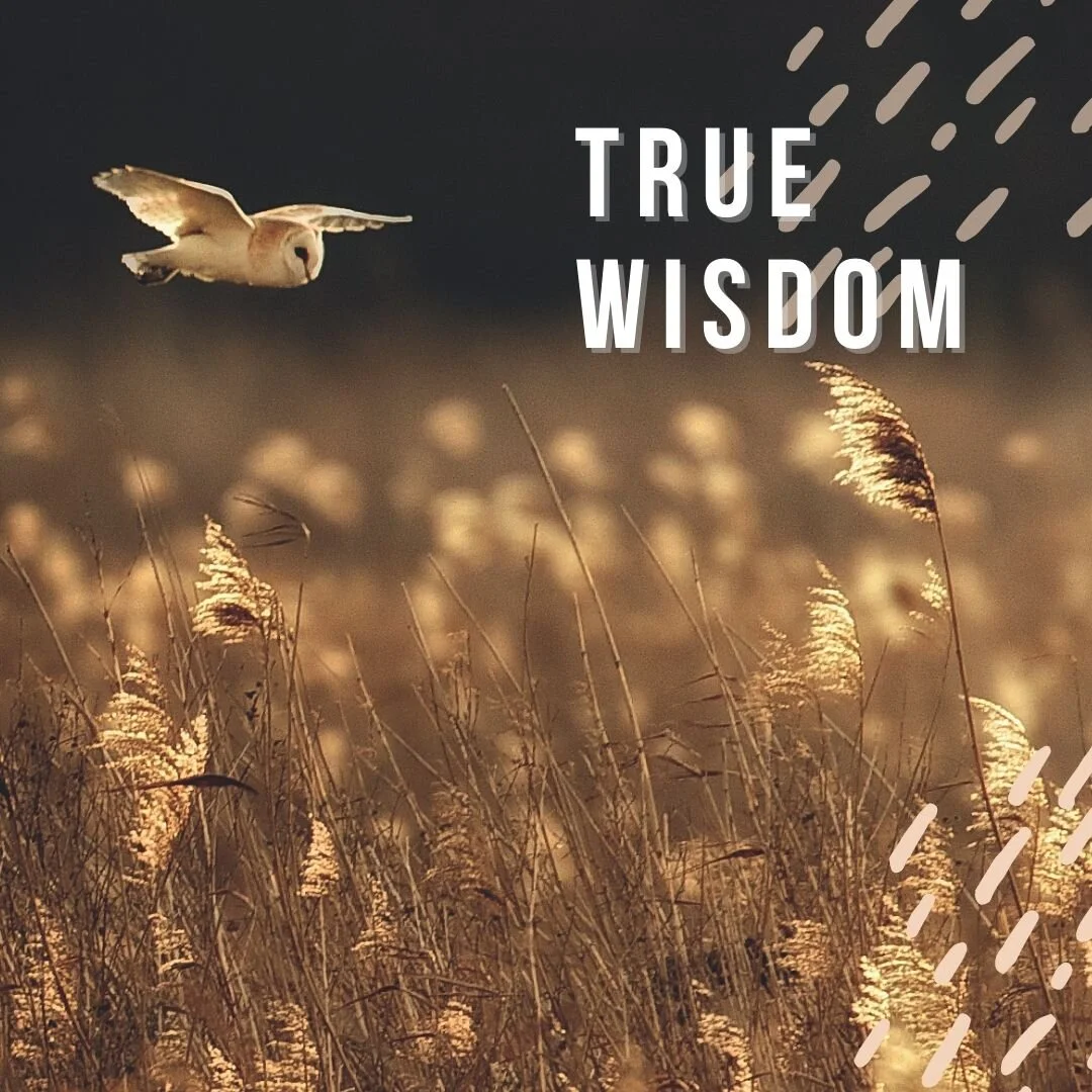 Cascadia Living Wisdom Blog — Cascadia Living Wisdom