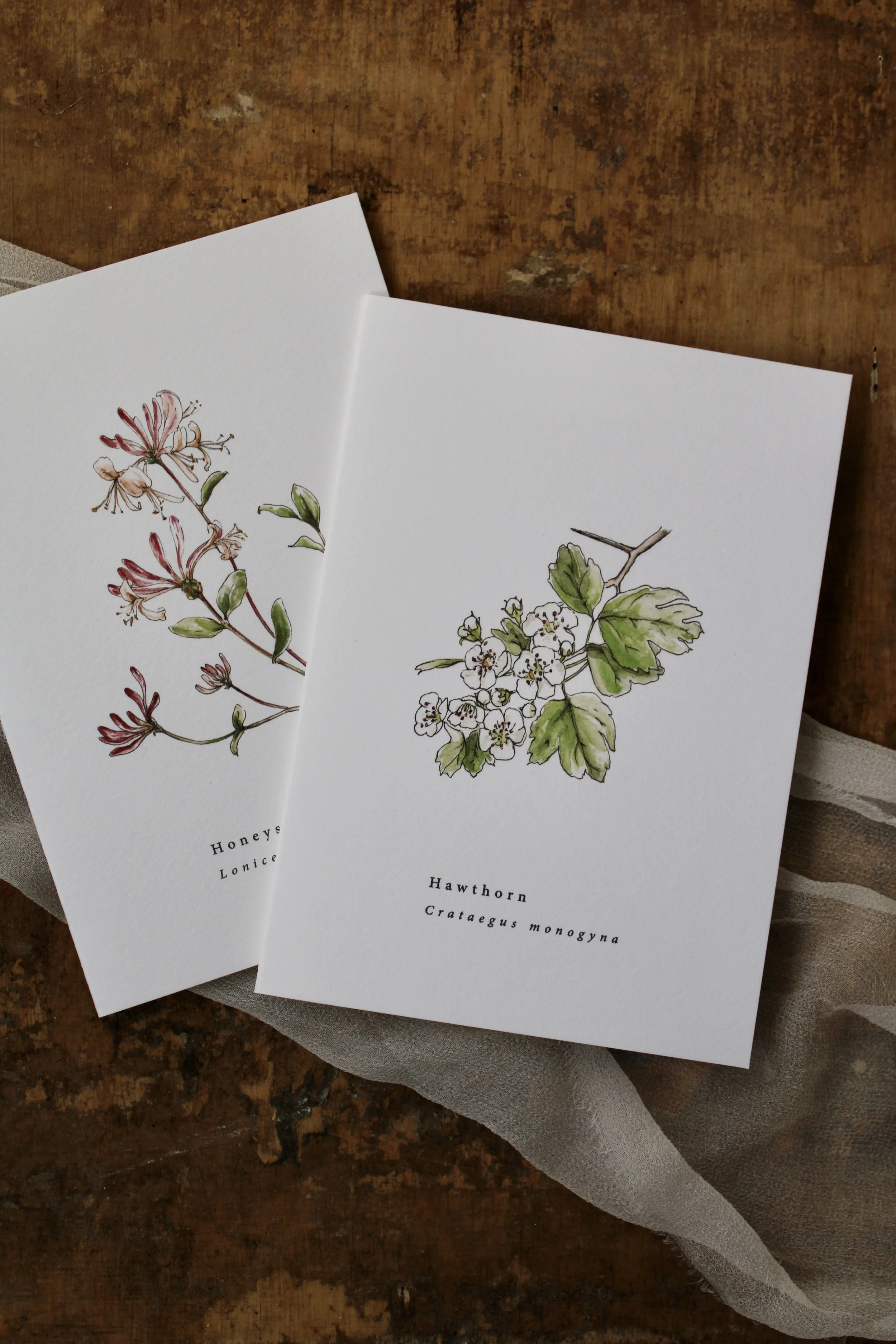 Shop — Ginger House Garden