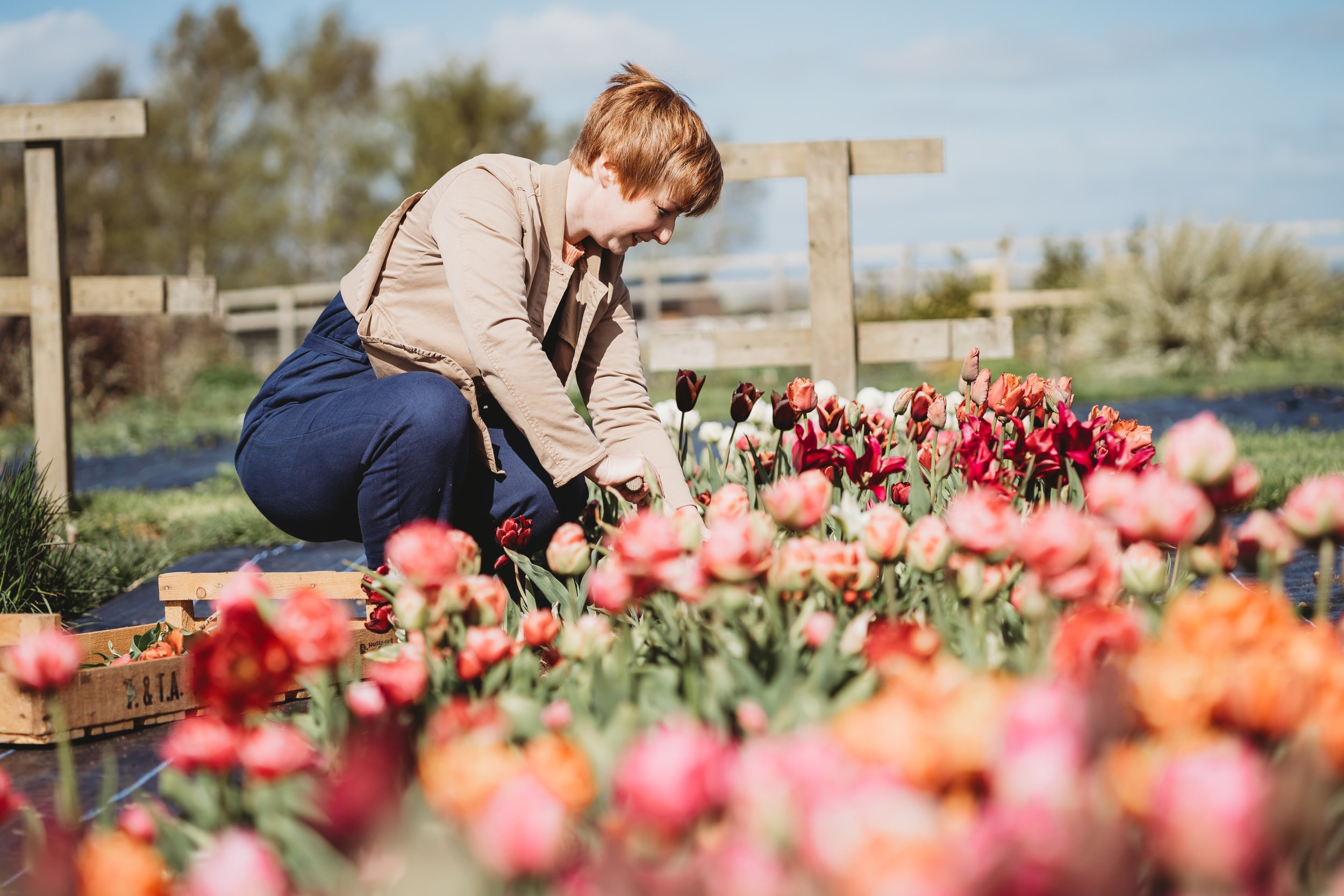 Ginger House Garden - Flower Grower and Event Florist