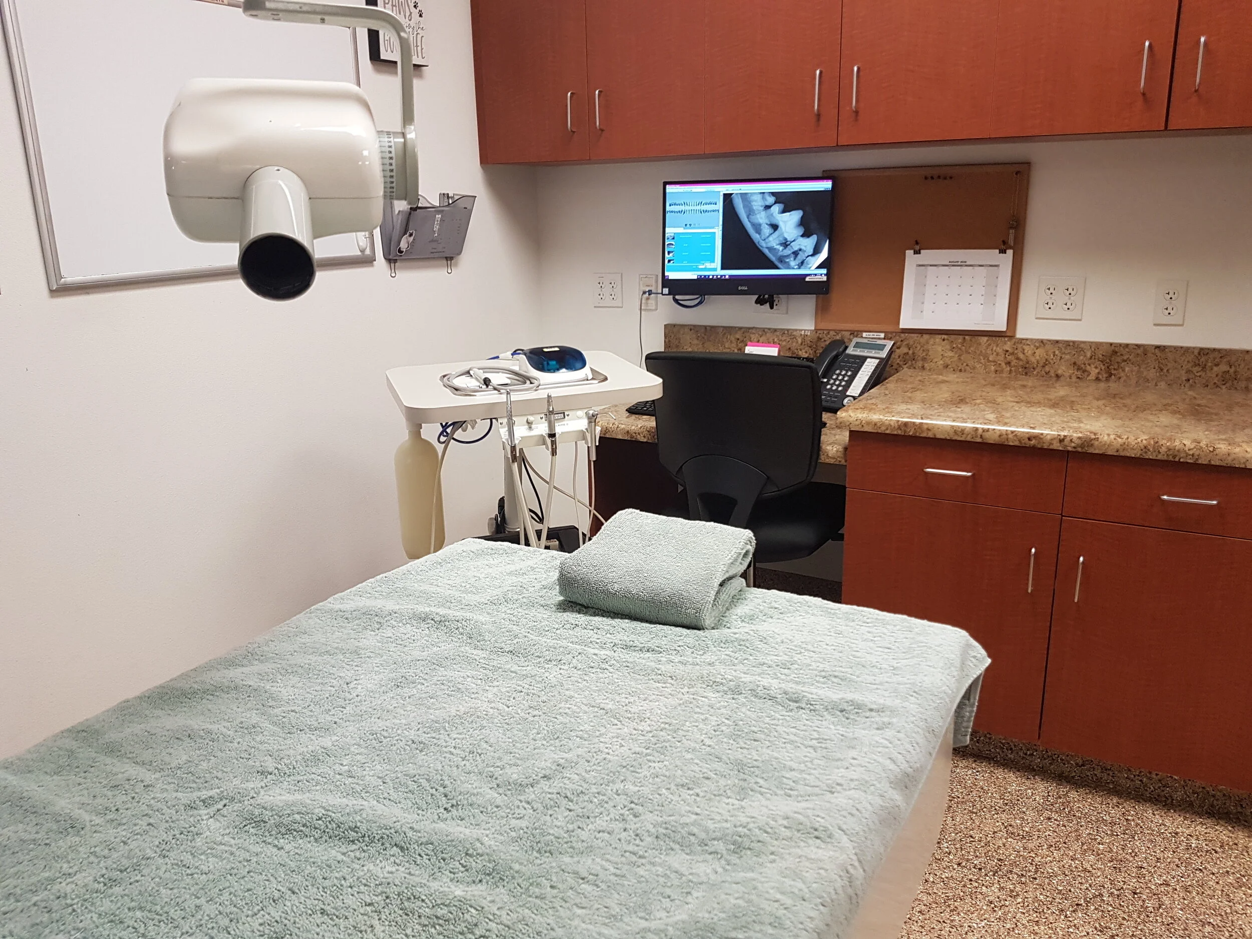 Our Hospital — Valley View Veterinary Hospital