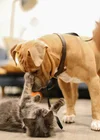 Our Hospital — Valley View Veterinary Hospital