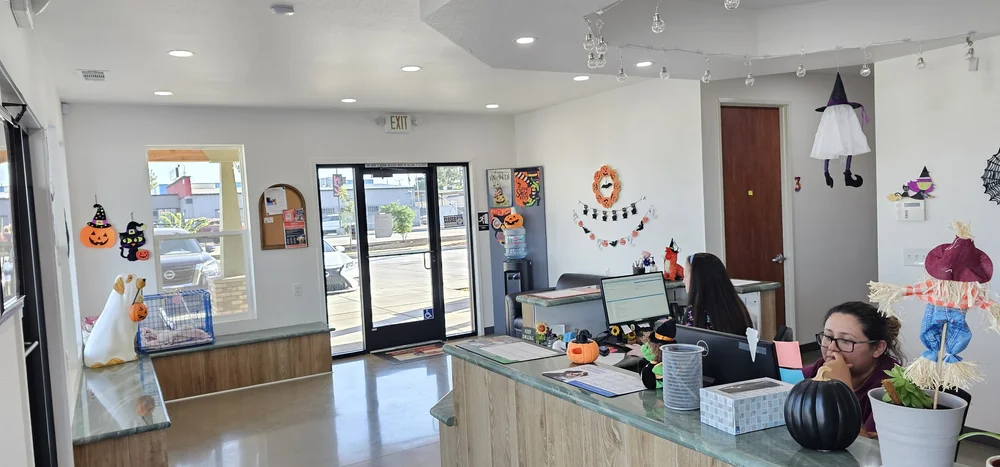 Our Hospital — Valley View Veterinary Hospital