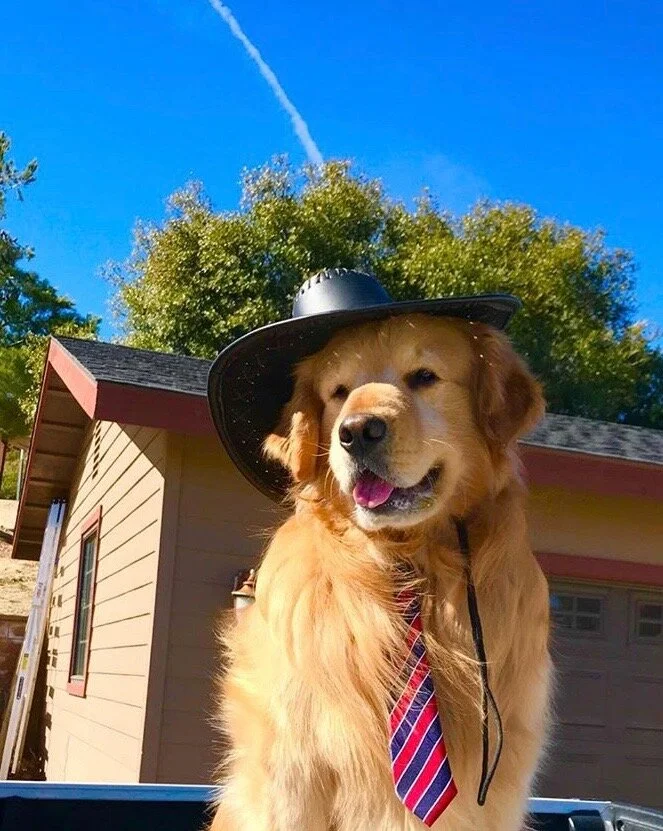 Mayor Max Of Idyllwild | Dog Whisperer