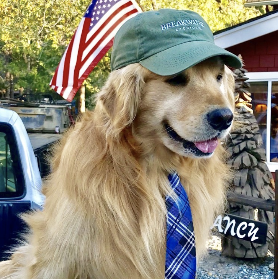 Mayor Max Of Idyllwild | Dog Whisperer