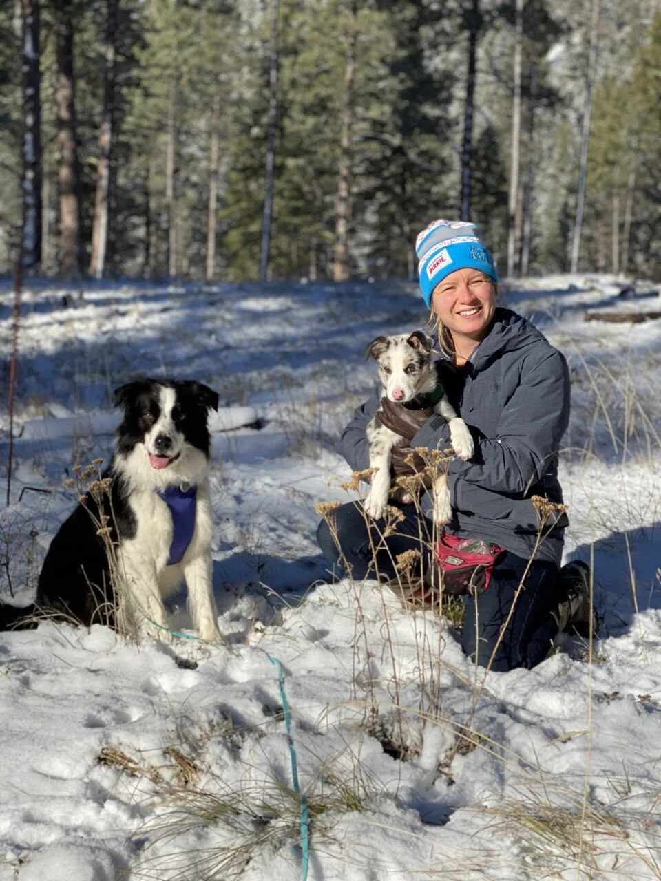 Looking For A New Dog? Here’s How To Decide On The Perfect One | Dog ...