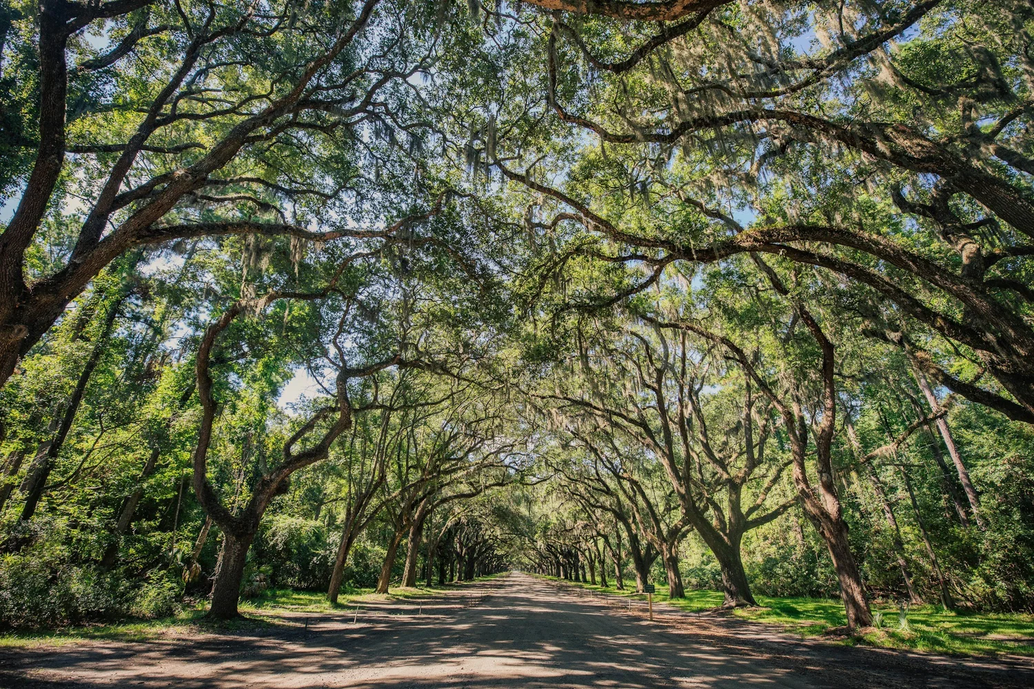 Gullah geechee: The Pulse of the Coast — Minorities In Aquaculture