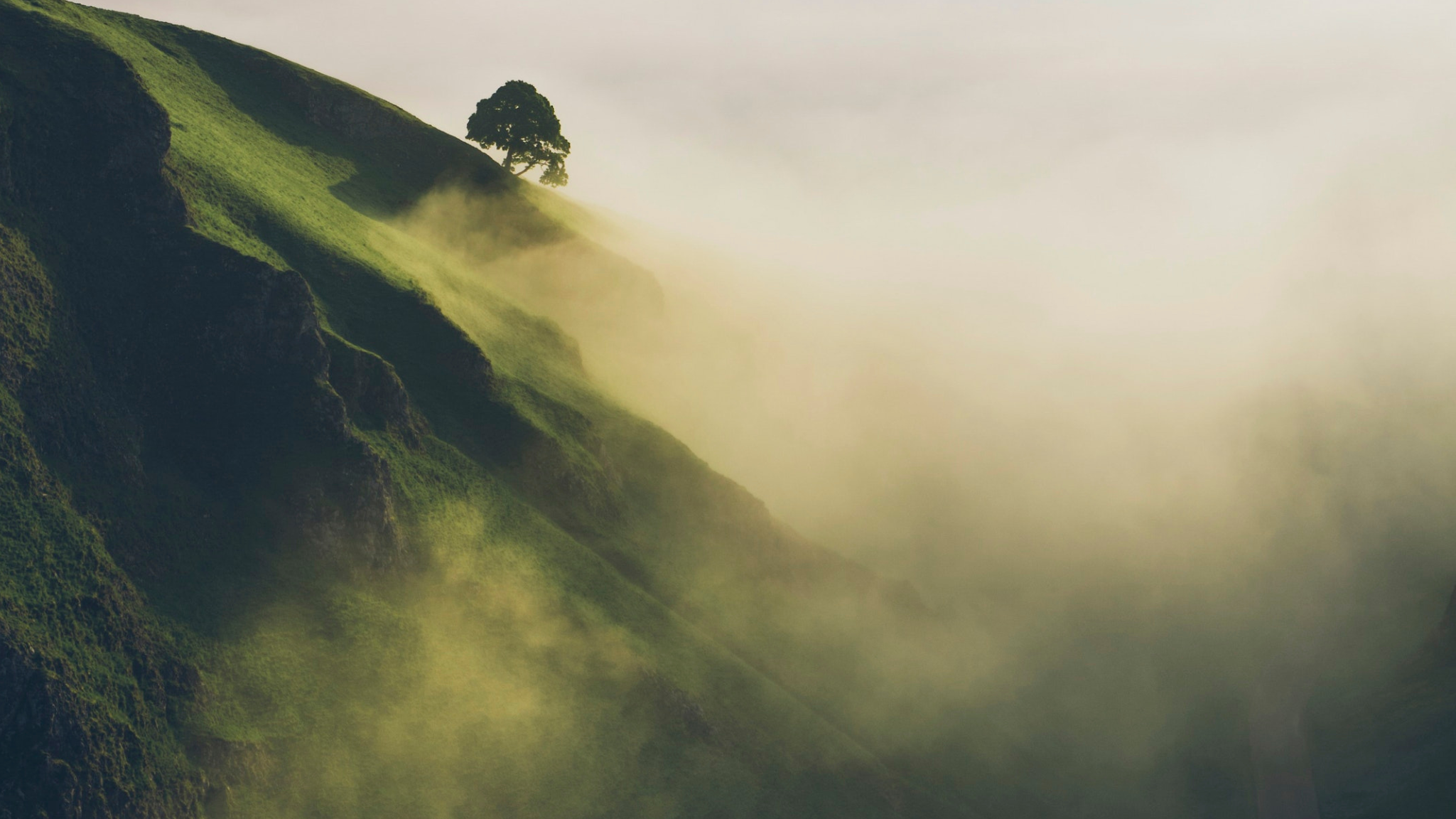 The Uplift Agency - Sustainability, Social Impact, & ESG Consulting Firm