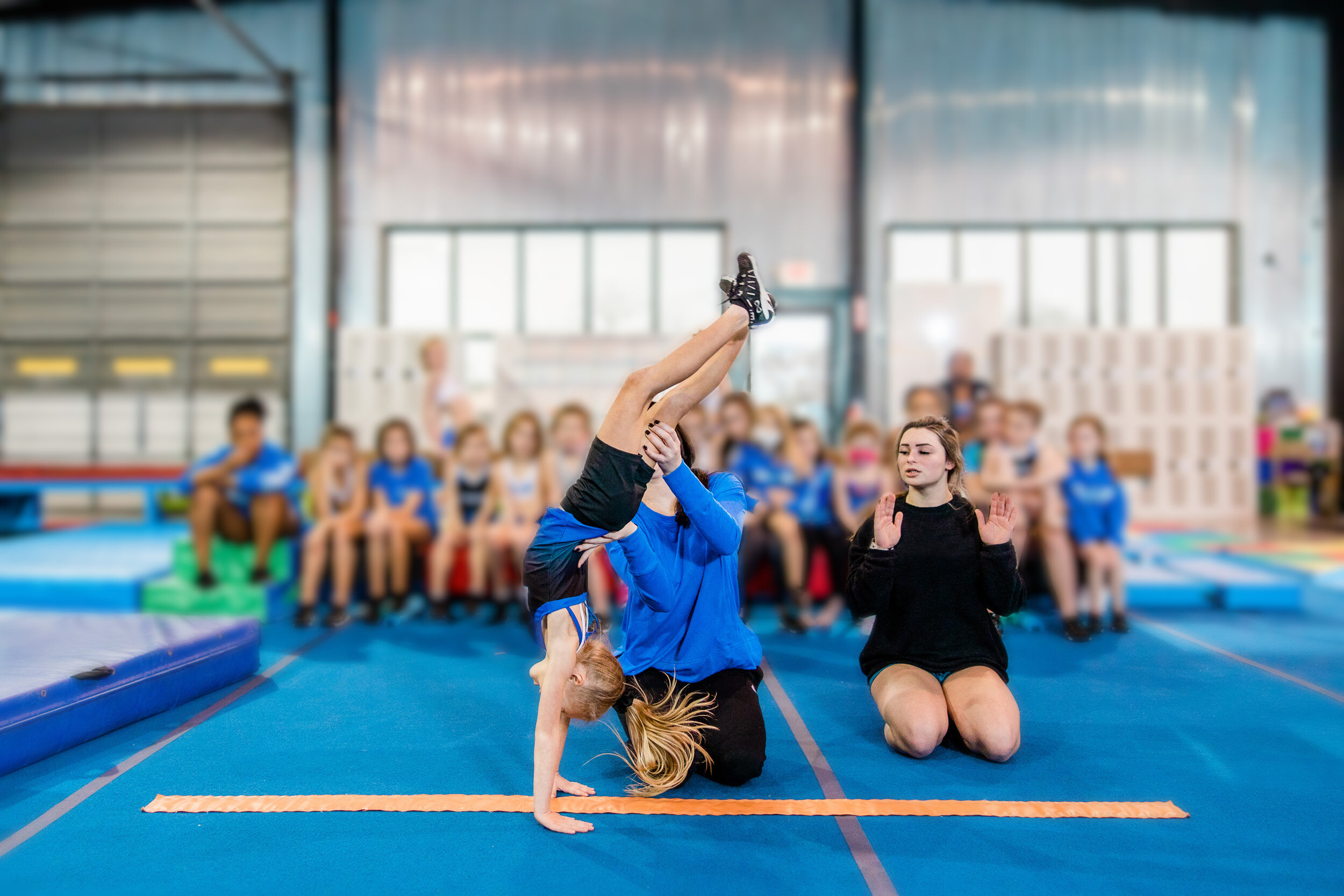 ACF Athletic Cheer Force