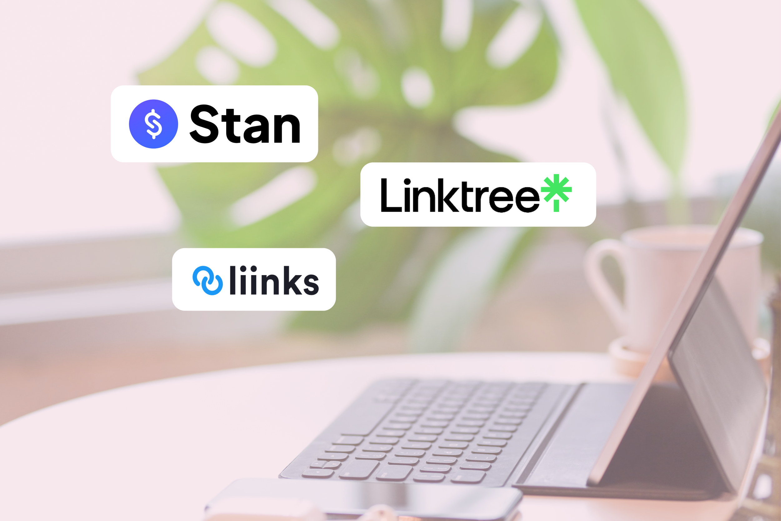Link In Bio – Choosing the Right Link Service for You | BNL Media ...