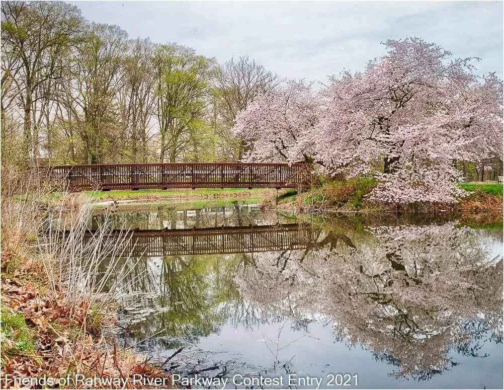 Friends of Rahway River Parkway — Parks of Rahway River Parkway