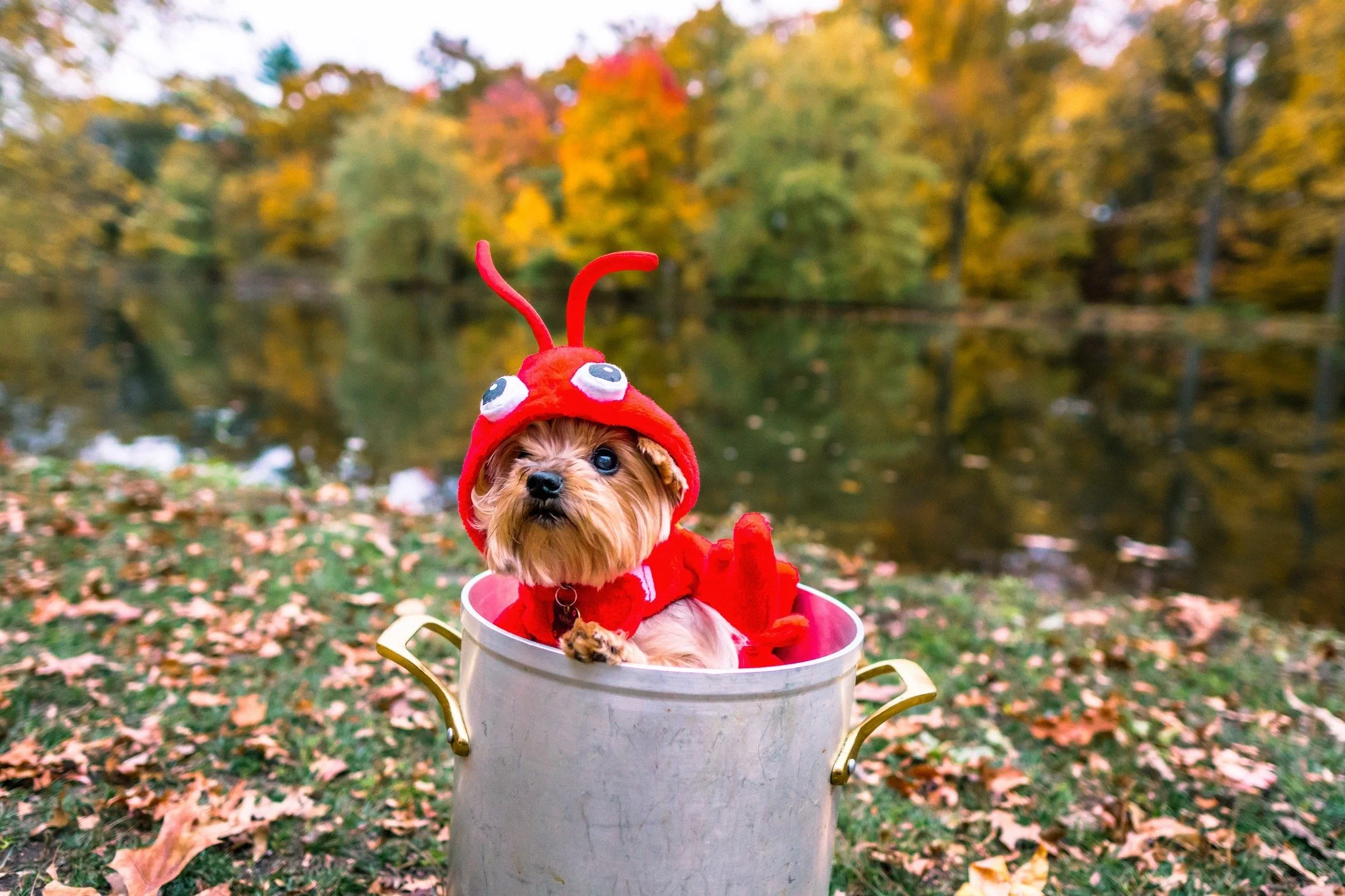Friends of Rahway River Parkway — Parks of Rahway River Parkway