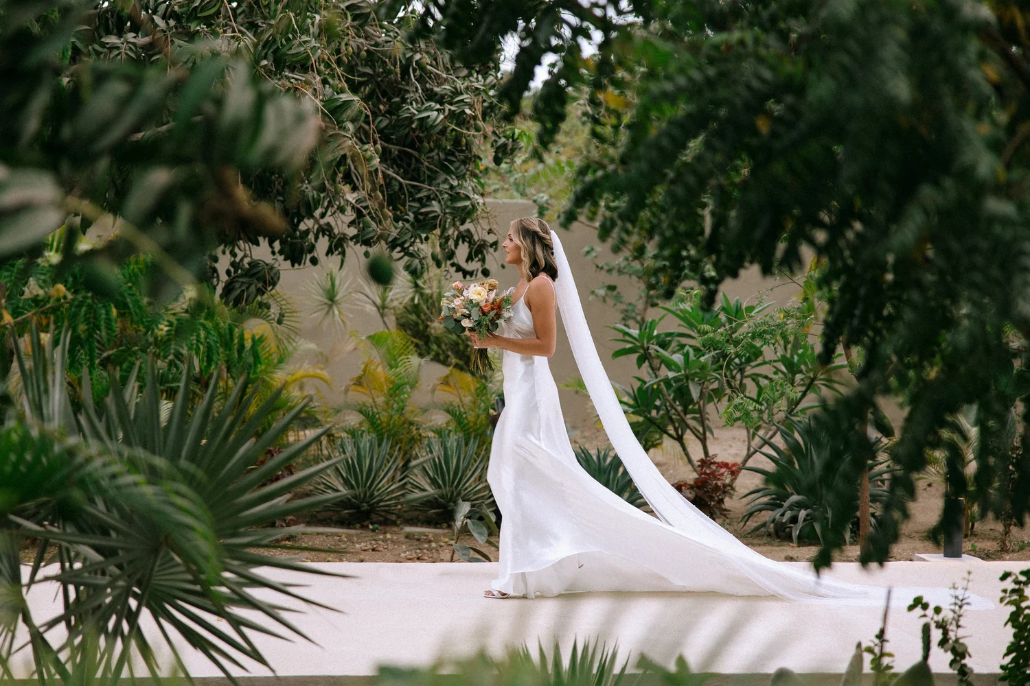 Baja Luna: Los Cabos, Mexico Wedding & Events Venue