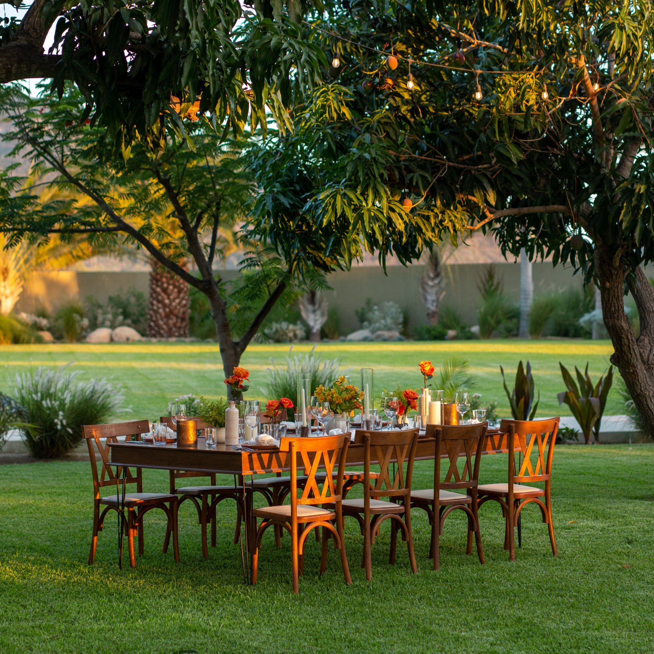 Baja Luna: Los Cabos, Mexico Wedding & Events Venue