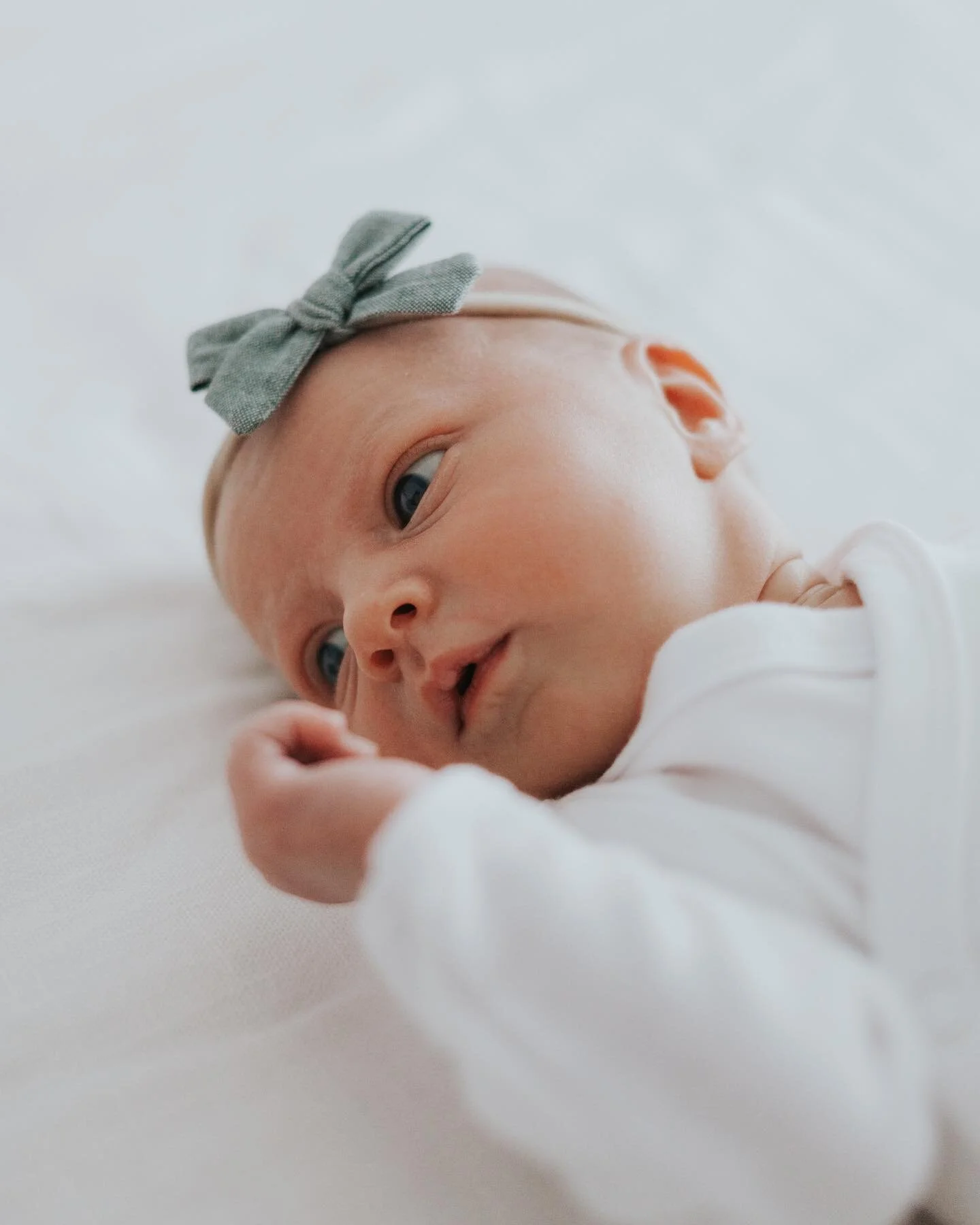 Utah Engagement Wedding Family Photographer - CRYSTAL KENT PHOTOGRAPHY