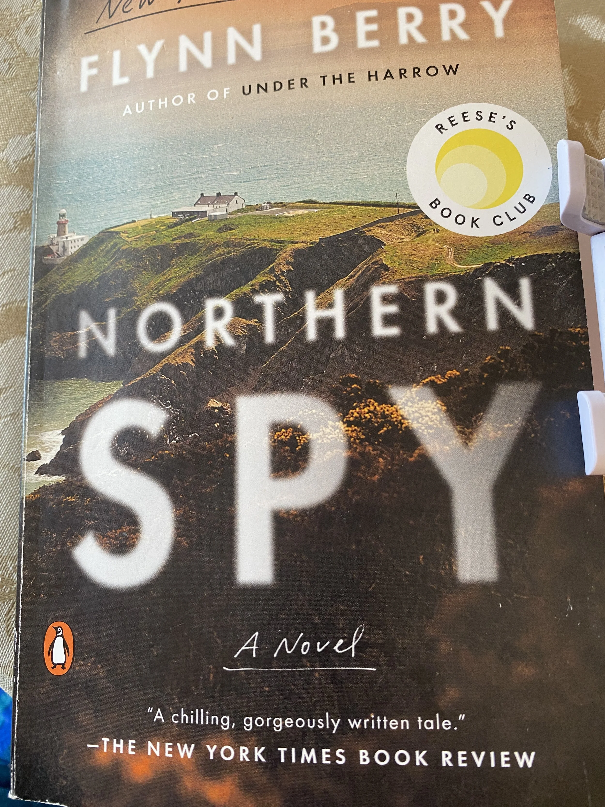 Northern Spy by Flynn Berry — Carol Tulpar