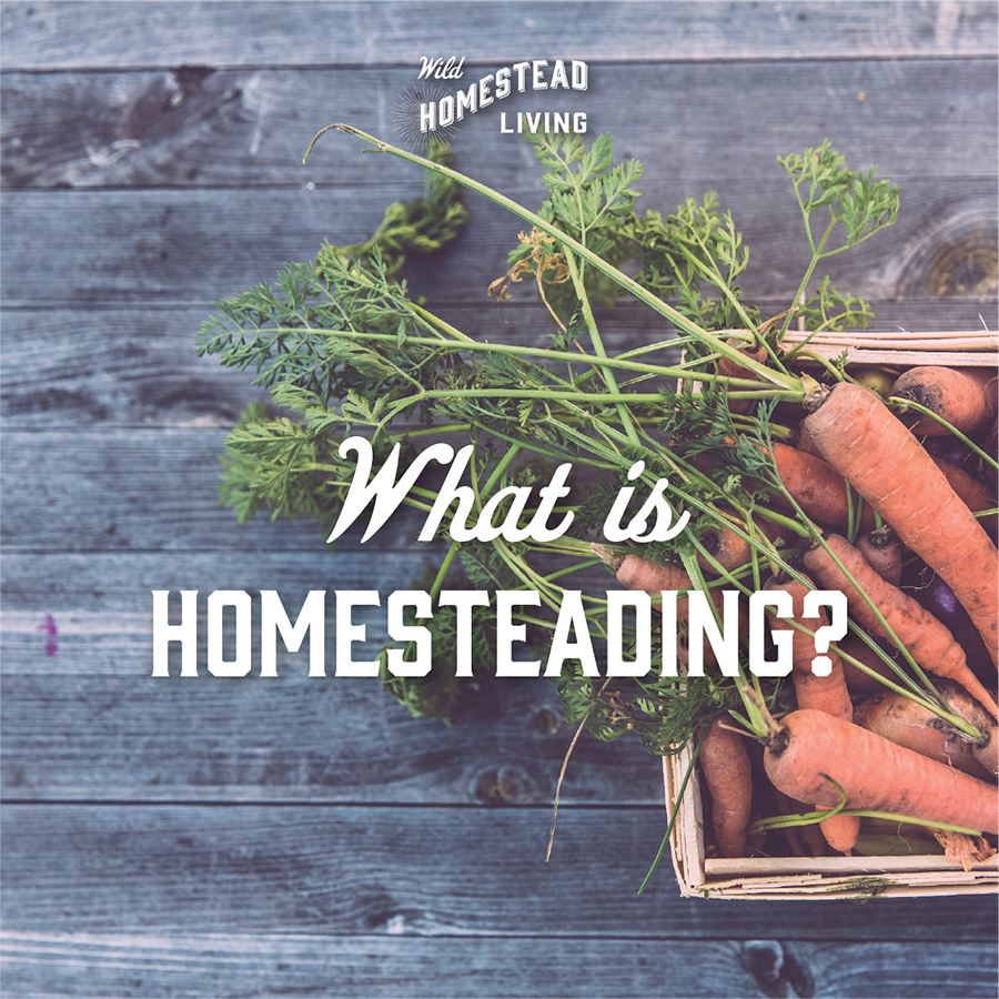 Wild Homestead Living — Planning & Mindset Blog Posts