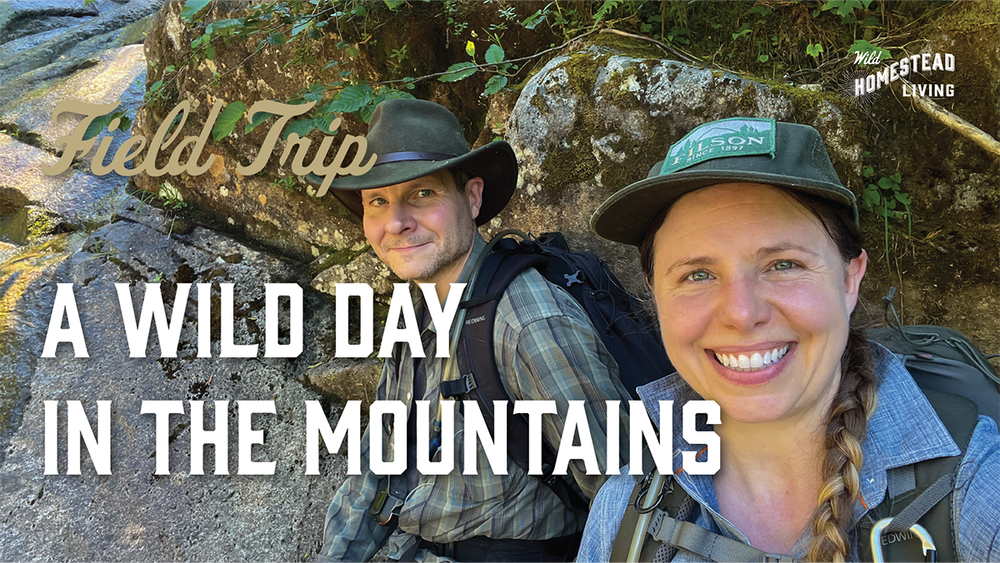 Wild Homestead Living— (VIDEO) Field Trip: A Wild Day in the Mountains