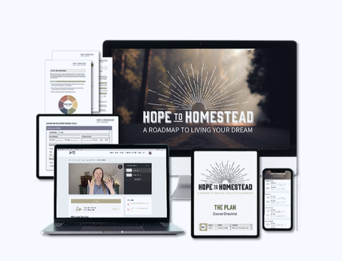 Wild Homestead Living