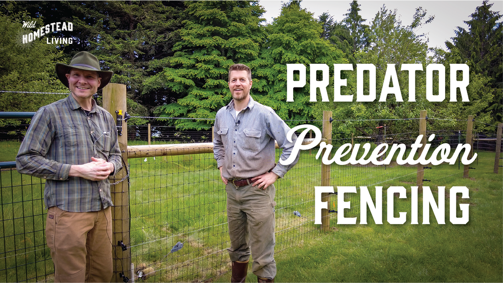 Wild Homestead Living— (VIDEO) Predator Prevention Fencing