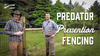 Wild Homestead Living— (VIDEO) Predator Prevention Fencing