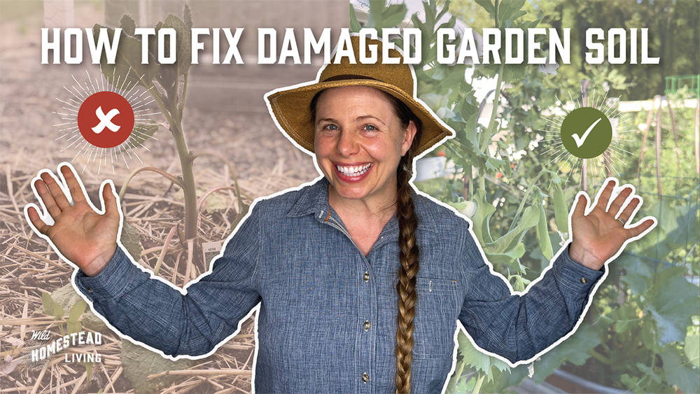 Wild Homestead Living— (VIDEO) How to Fix Damaged Garden Soil