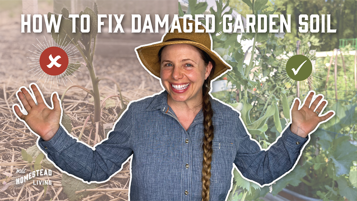Wild Homestead Living— (VIDEO) How to Fix Damaged Garden Soil