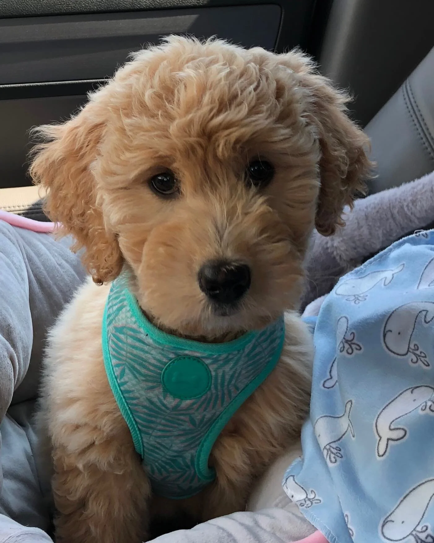 Kelly Rodman Baseball Foundation