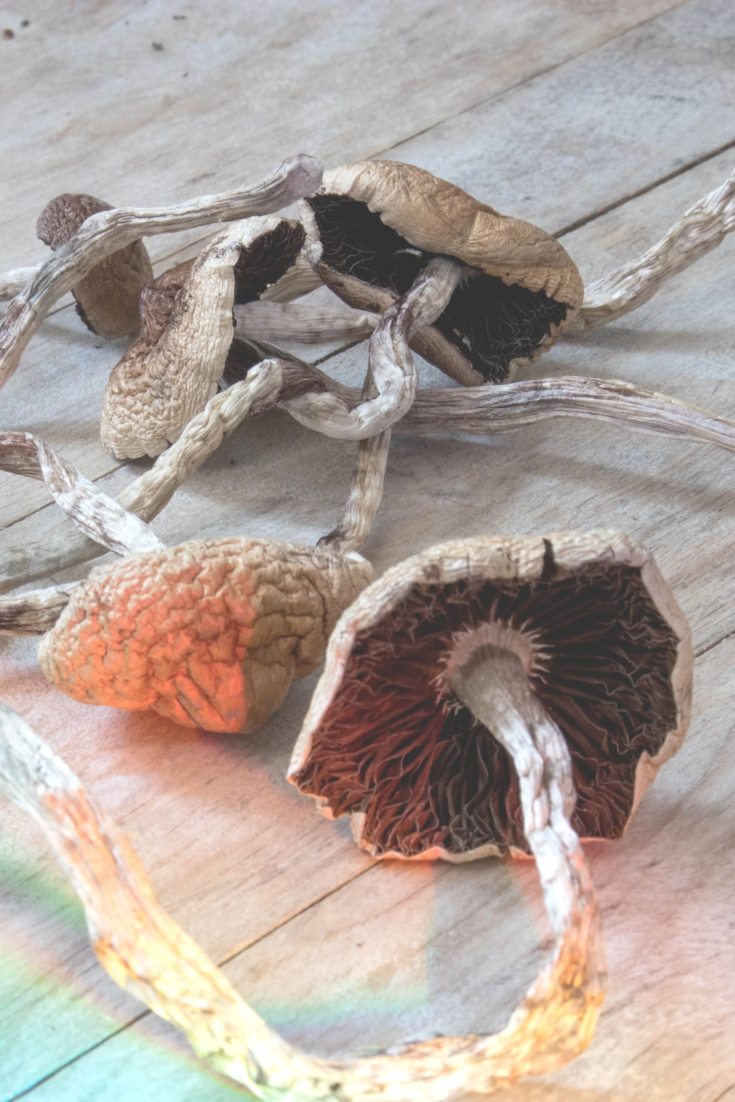 consciousness — threshold medicine