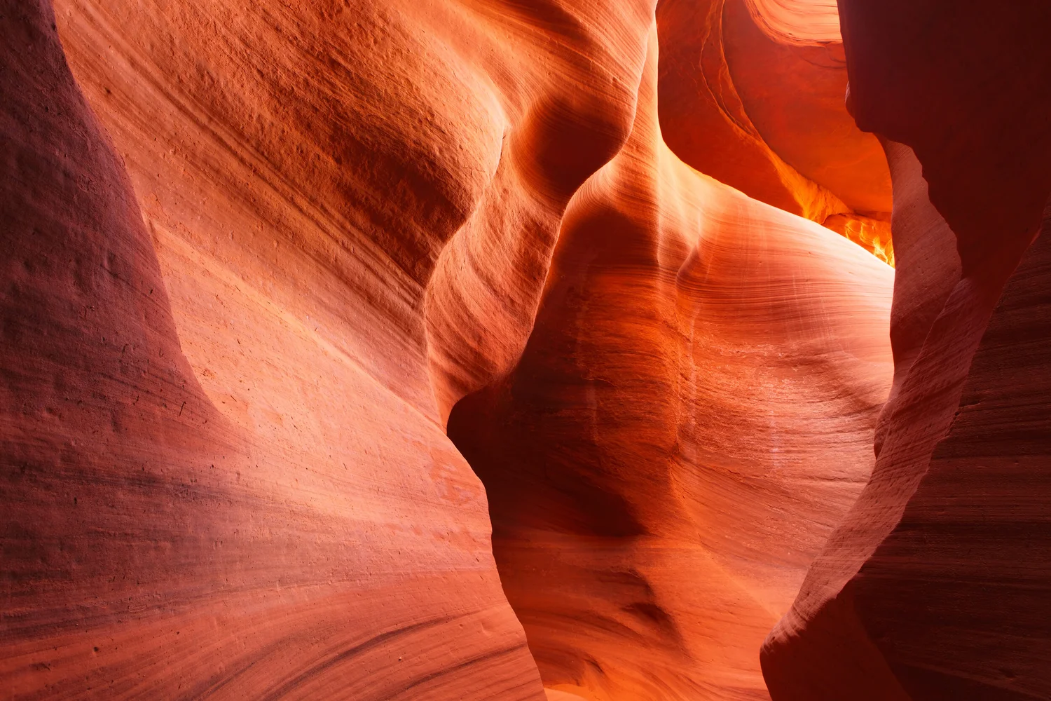 about & lineage — threshold medicine