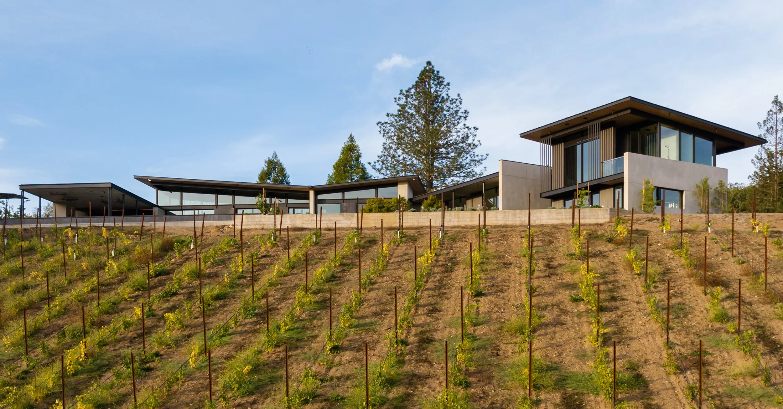 butterfly house_healdsburg — Sean Bailey Design
