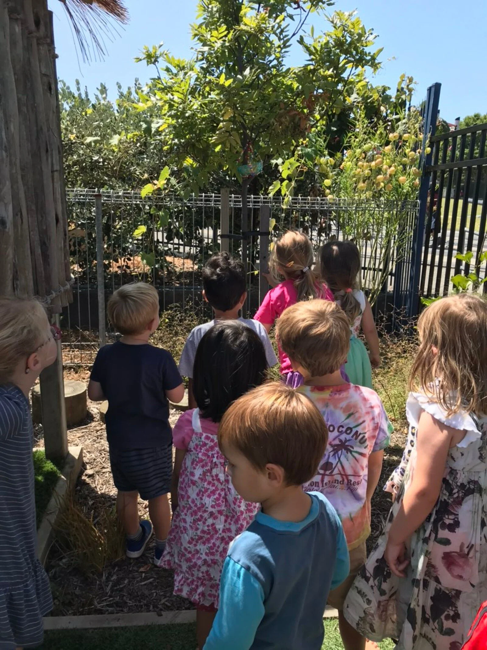 Gallery 1 — The Rose Centre Preschool