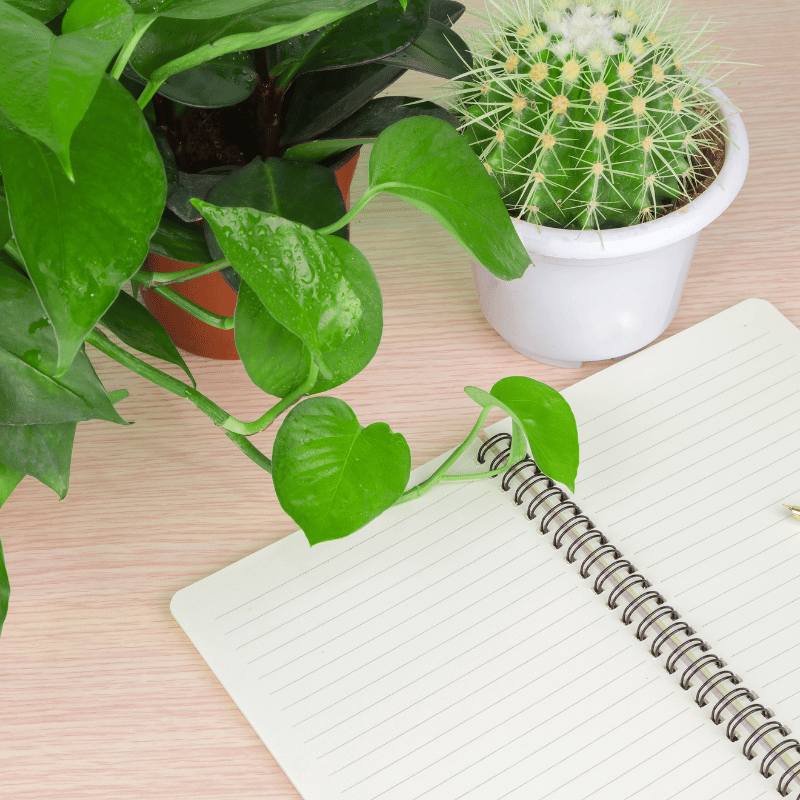 Blog — Acorn Digital Strategy