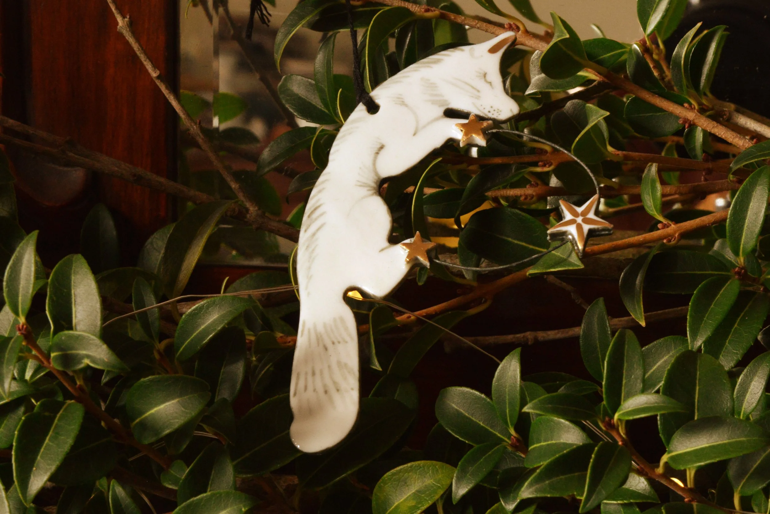 Shop — Sarah Rickard Art