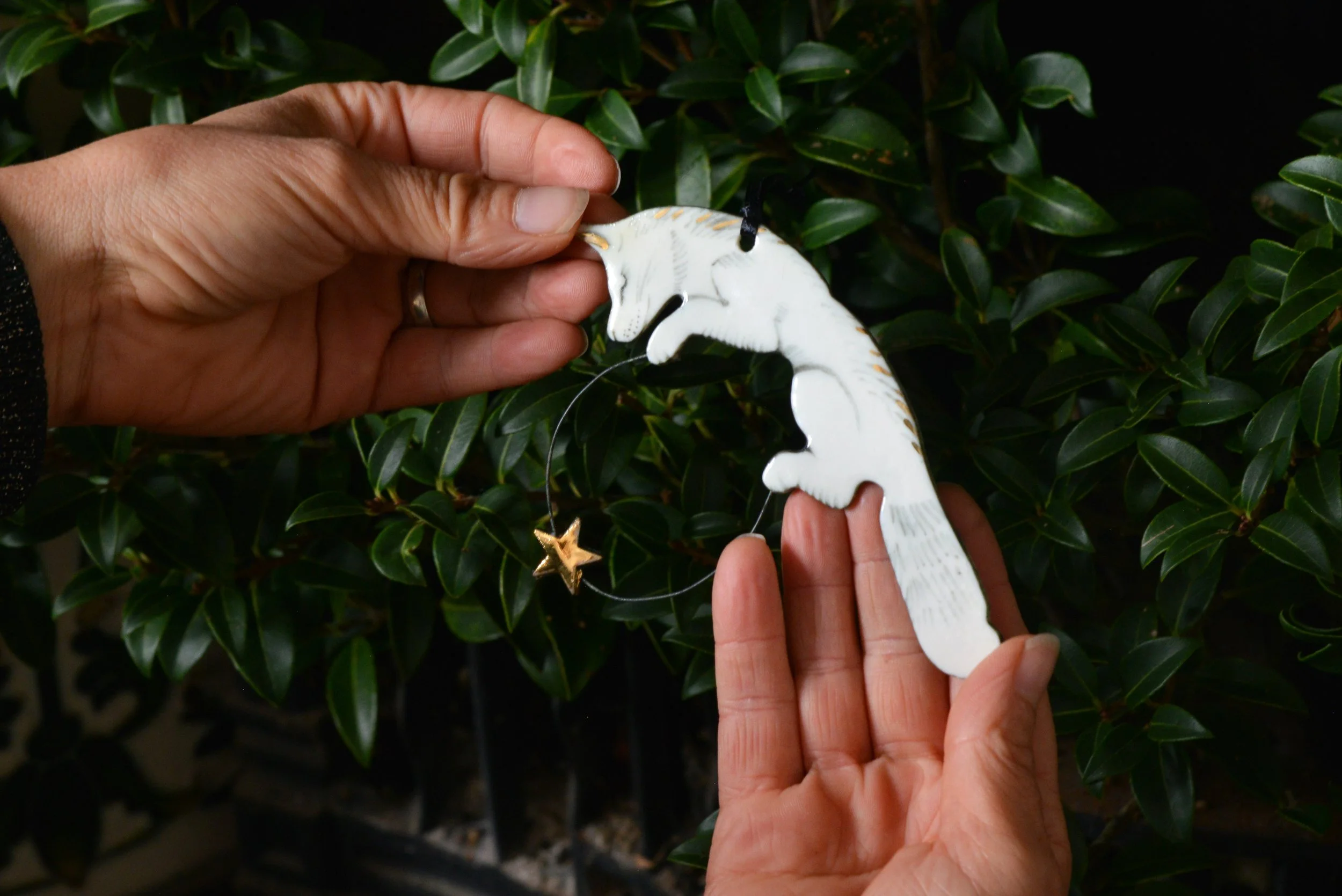 Shop — Sarah Rickard Art