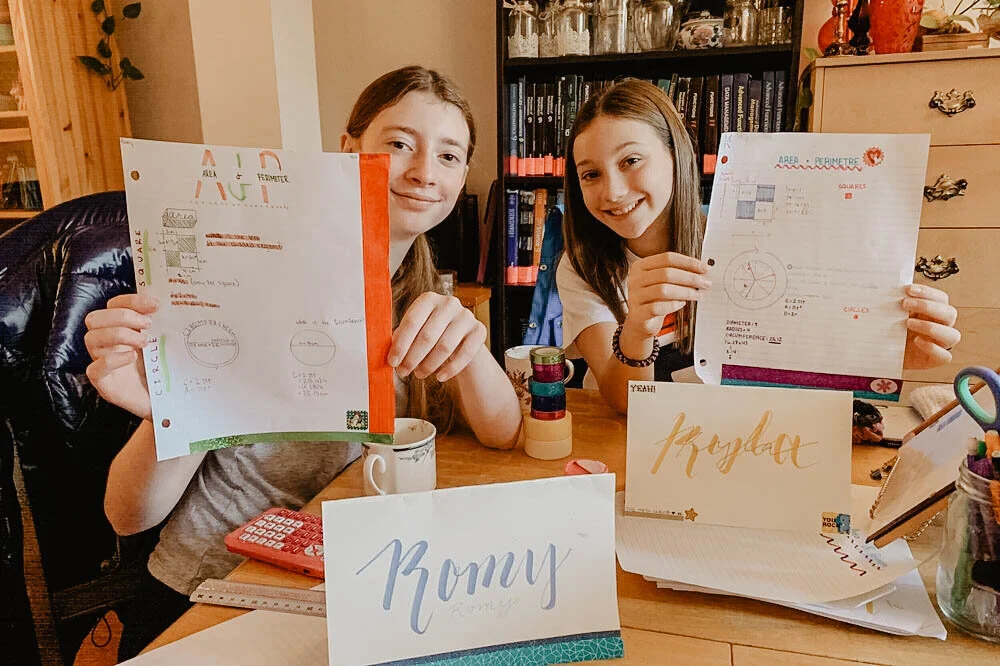 What we offer — The Math Guru