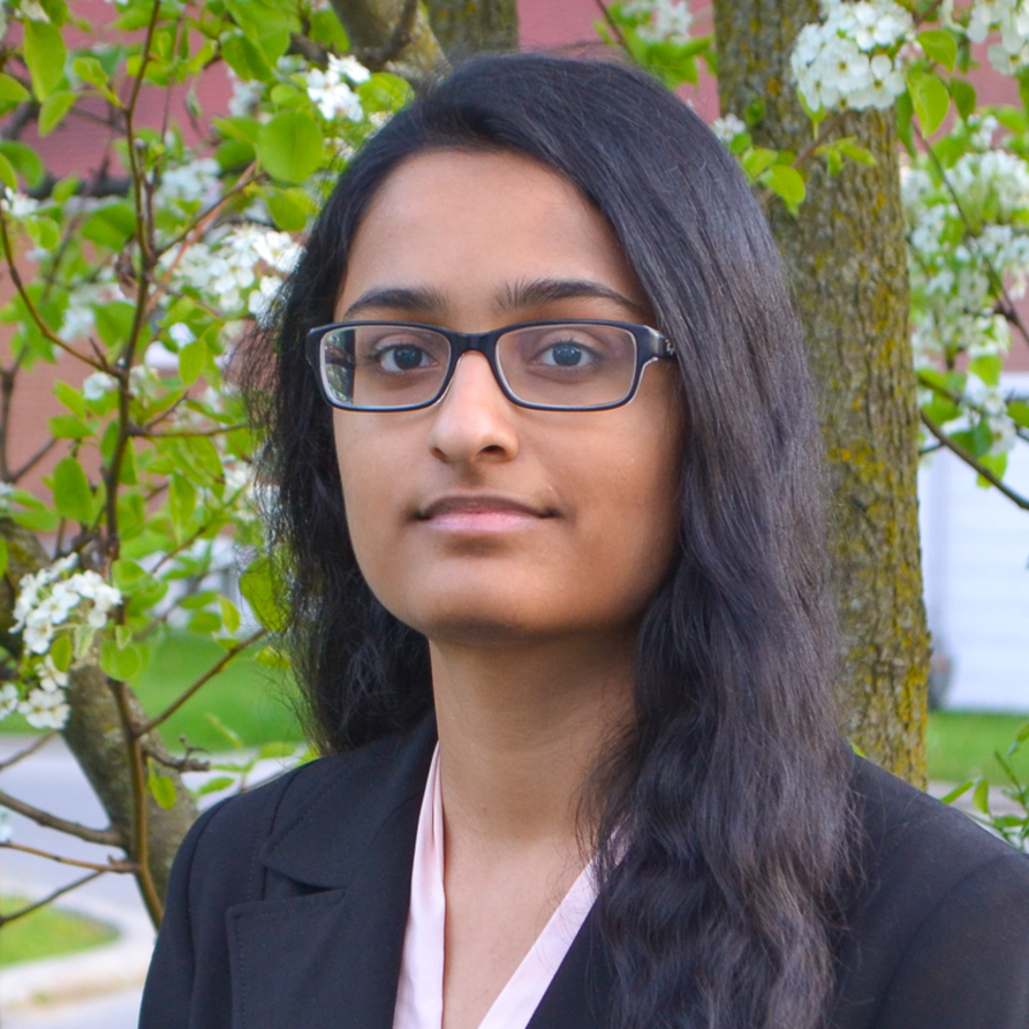 Our Tutors — The Math Guru