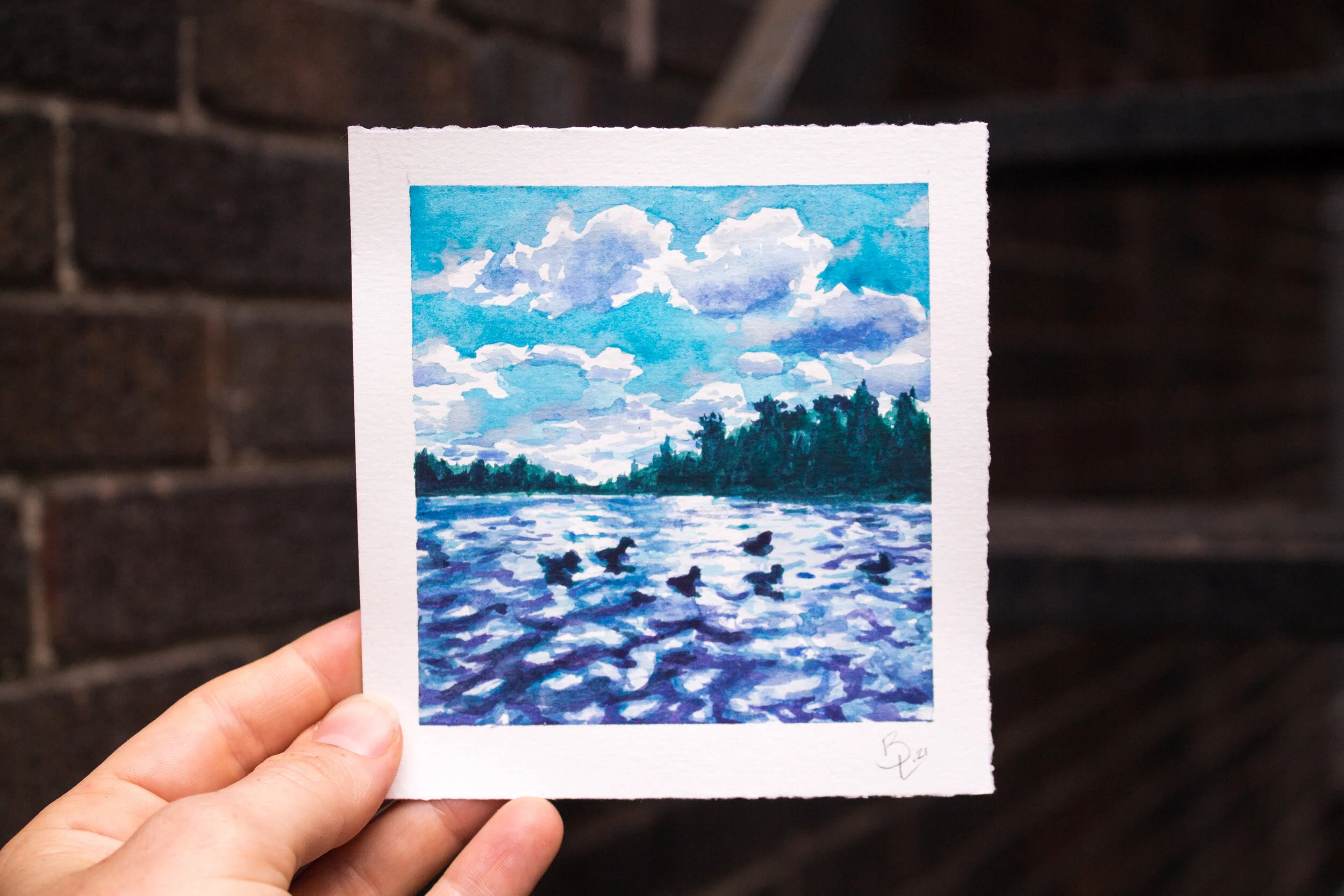 Cascadas Escondidas / Hidden Waterfalls — Brigetta Piggott