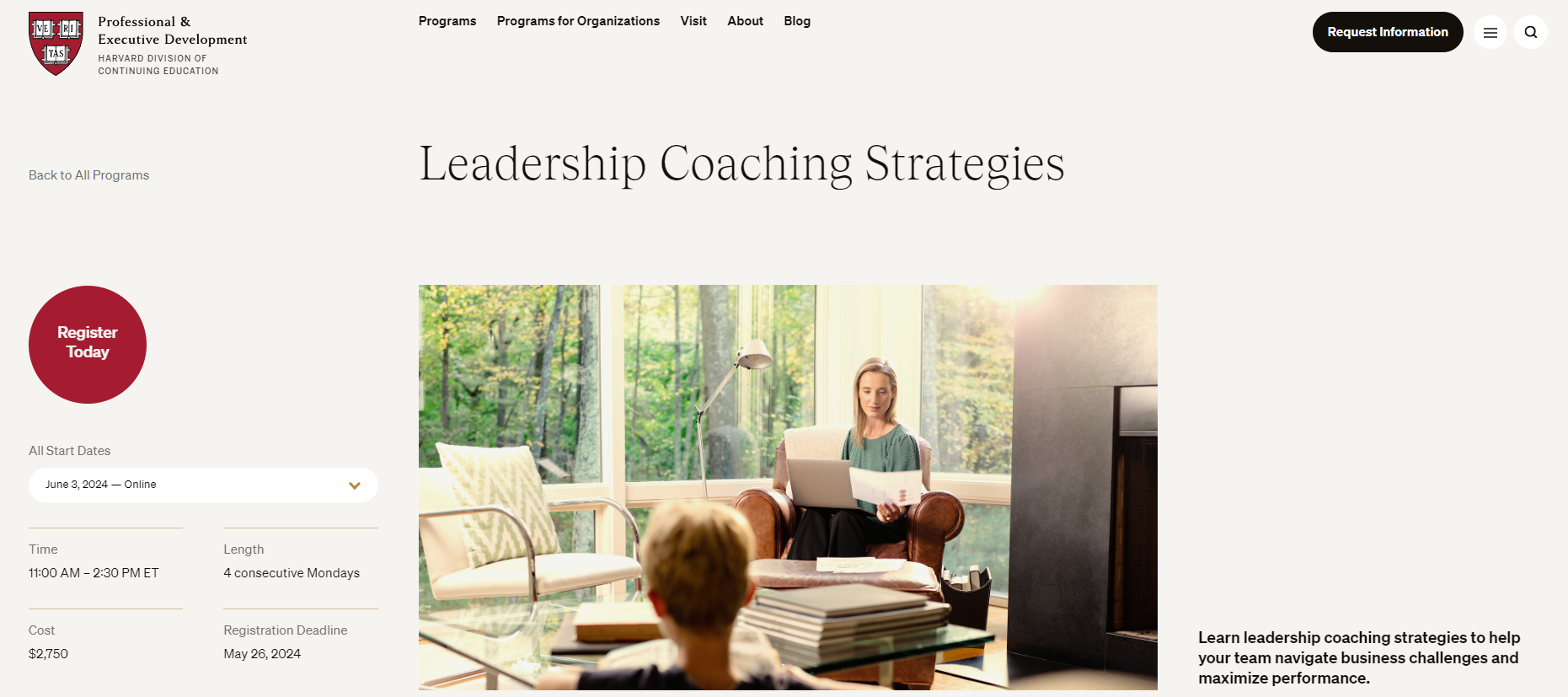 The 20 Best Leadership Development Programs in 2024 — Kahilla