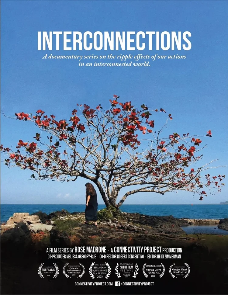 Connectivity Project