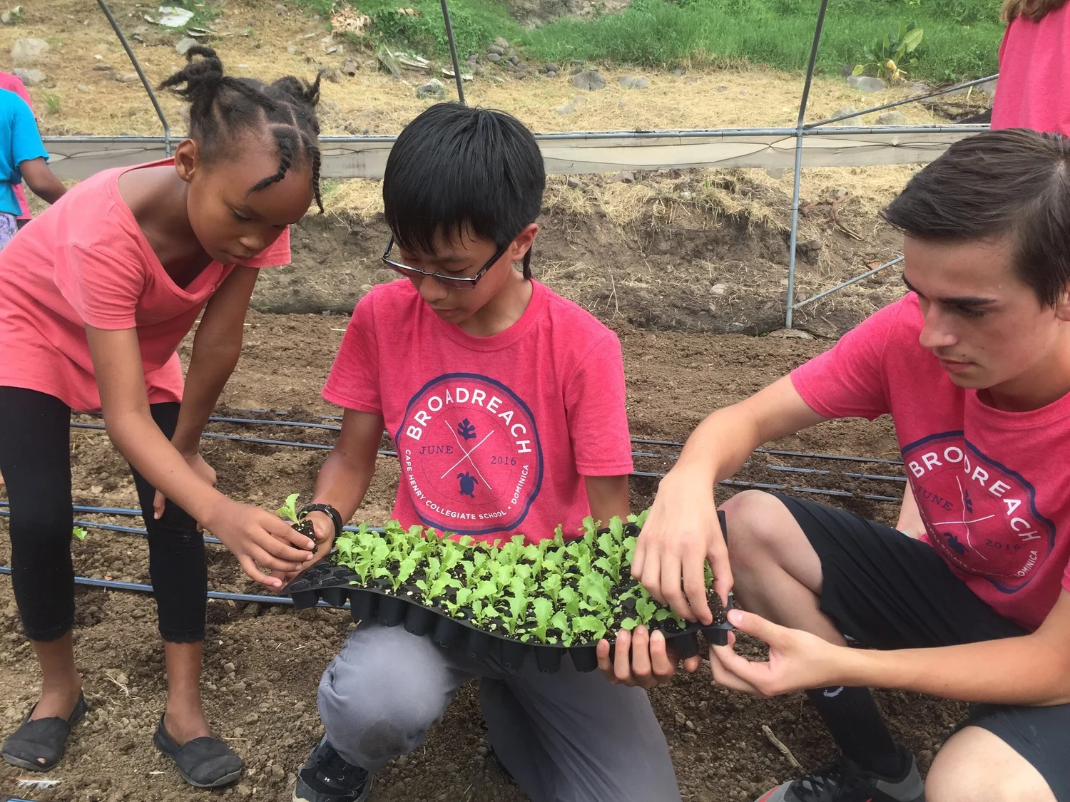 For Students — Broadreach Foundation