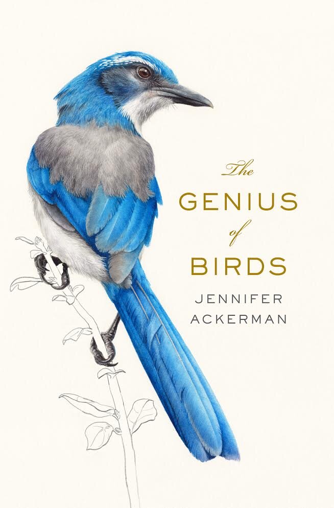 The Genius of Birds — Jennifer Ackerman