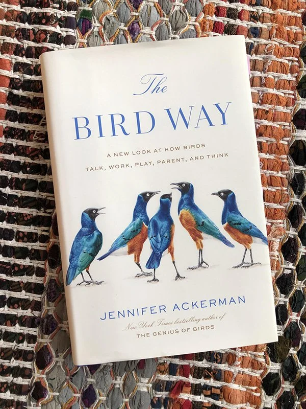 Upcoming events — Jennifer Ackerman