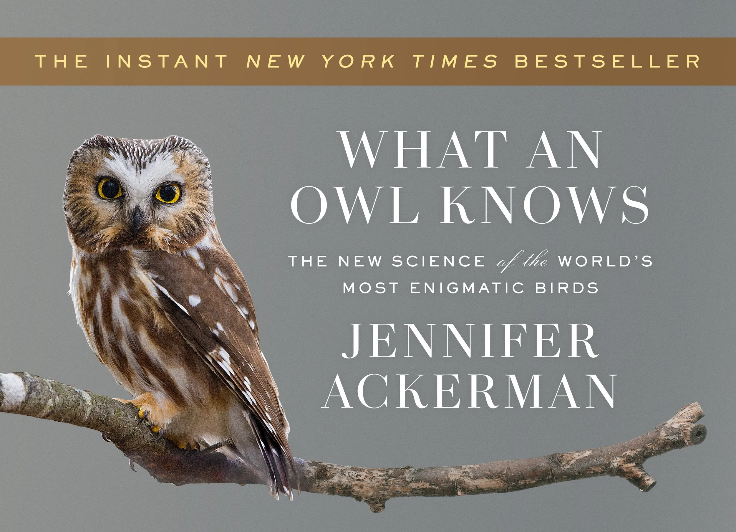 Jennifer Ackerman