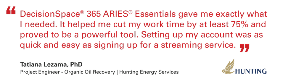 ARIES — DecisionSpace365.io