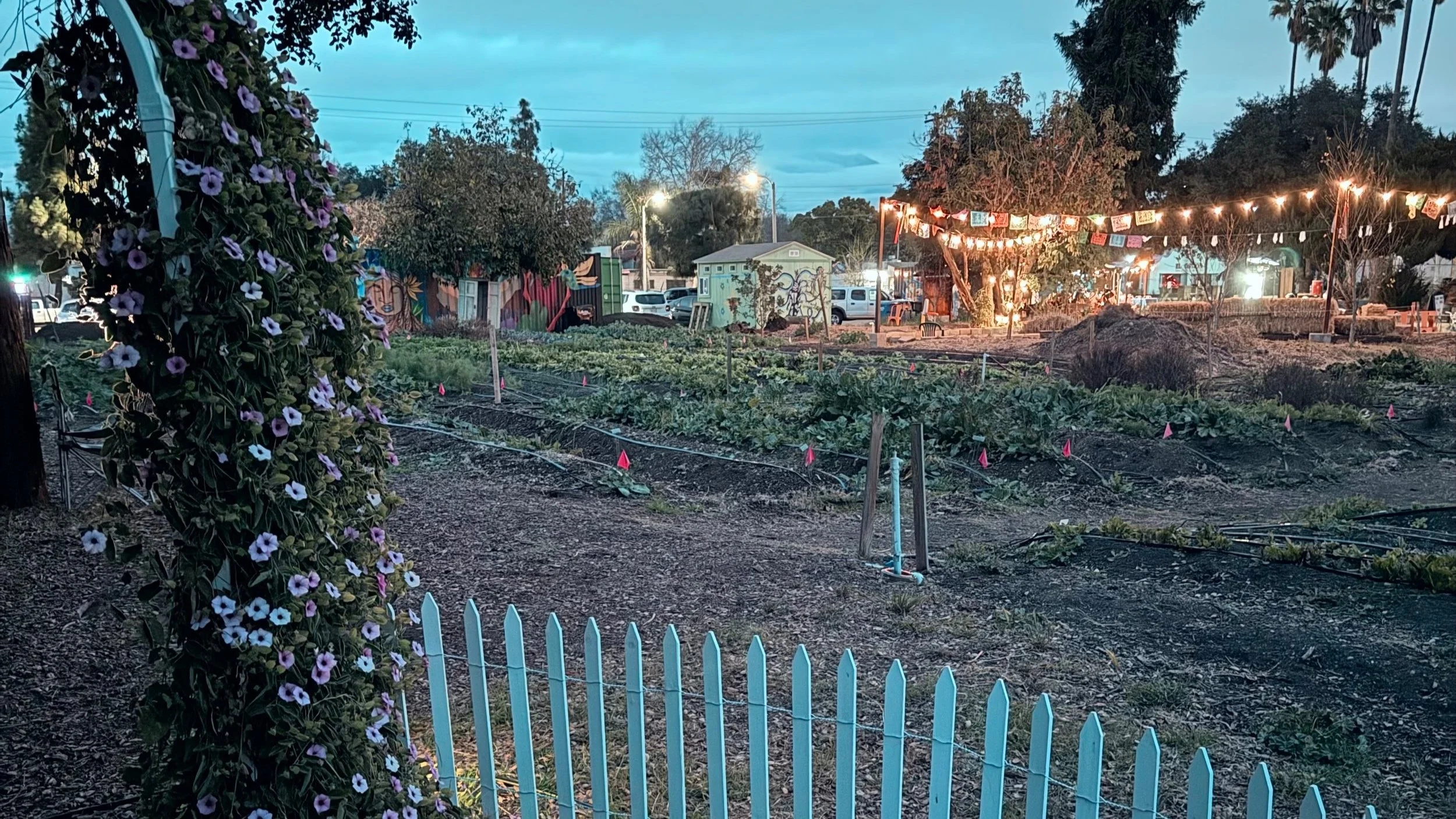 Lopez Urban Farm • Community Wellness & Urban Agriculture in Pomona