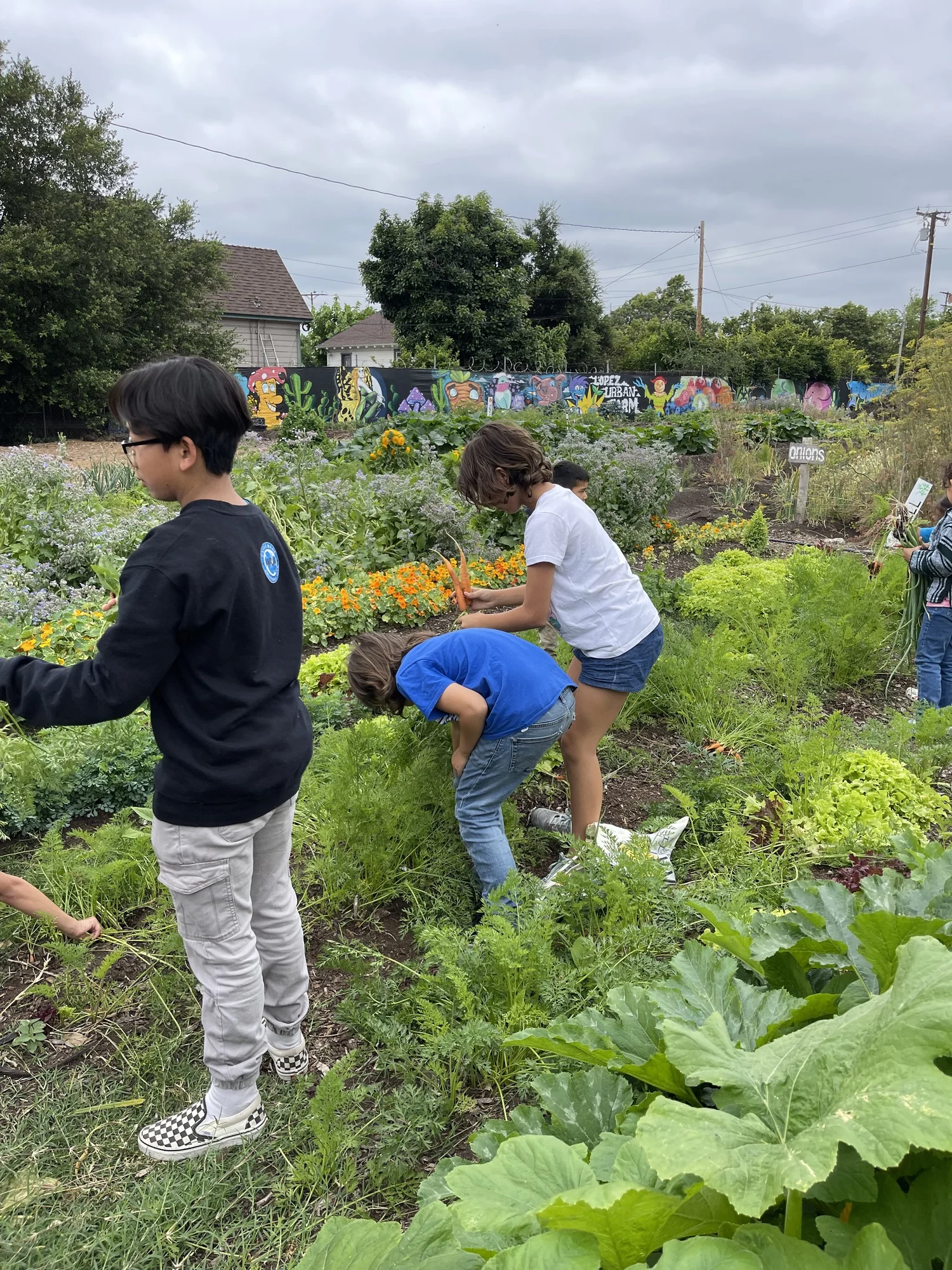 Jr. Farmers — Urban Farming Program for Pomona Kids | Lopez Urban Farm ...